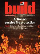 Issues | BRANZ Build