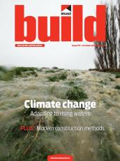 Issues | BRANZ Build