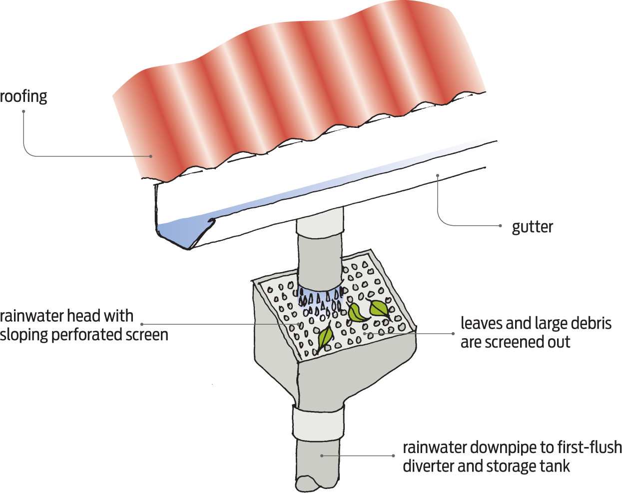 Collecting drinking water from roofs | BRANZ Build