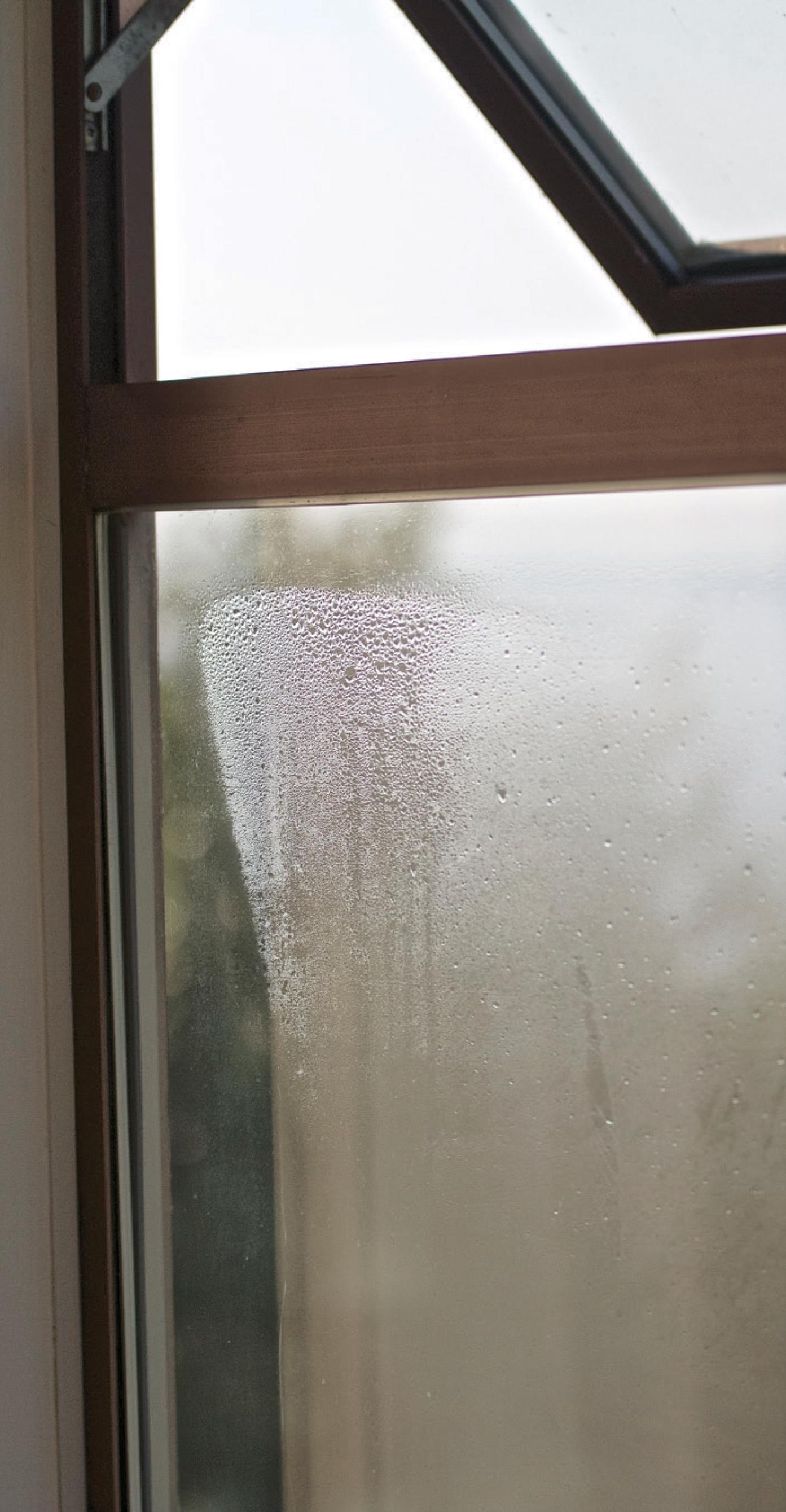 Combating internal moisture | BRANZ Build