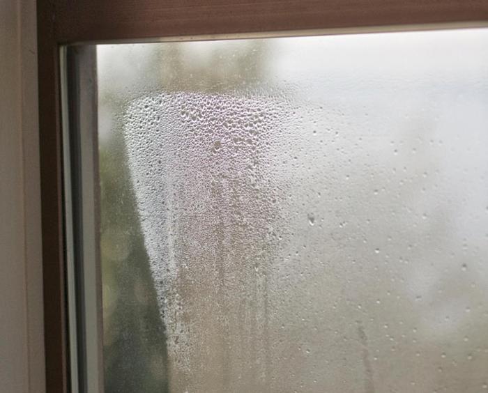 Combating internal moisture | BRANZ Build