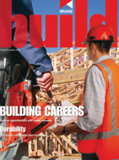 Issues | BRANZ Build