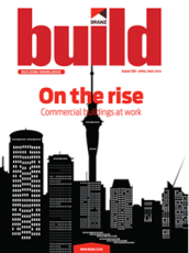 Issues | BRANZ Build