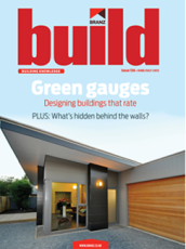 Issues | BRANZ Build