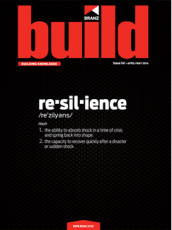 Issues | BRANZ Build