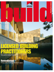 Issues | BRANZ Build